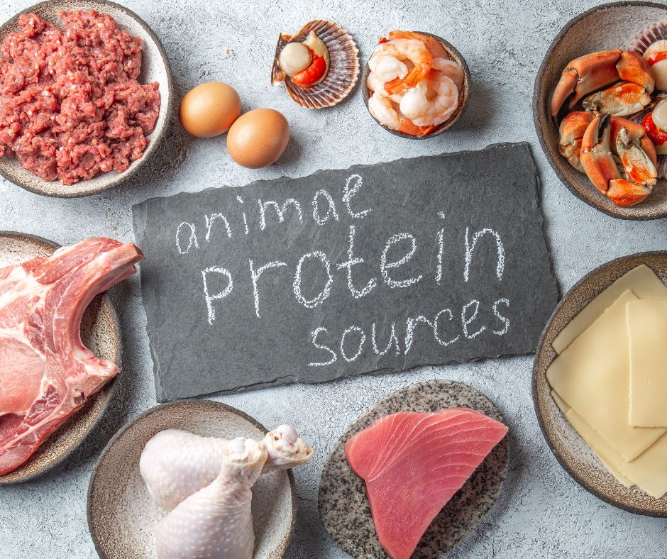 Carnivore Diet Pros and Cons: All You Need to Know – Hundred Diets